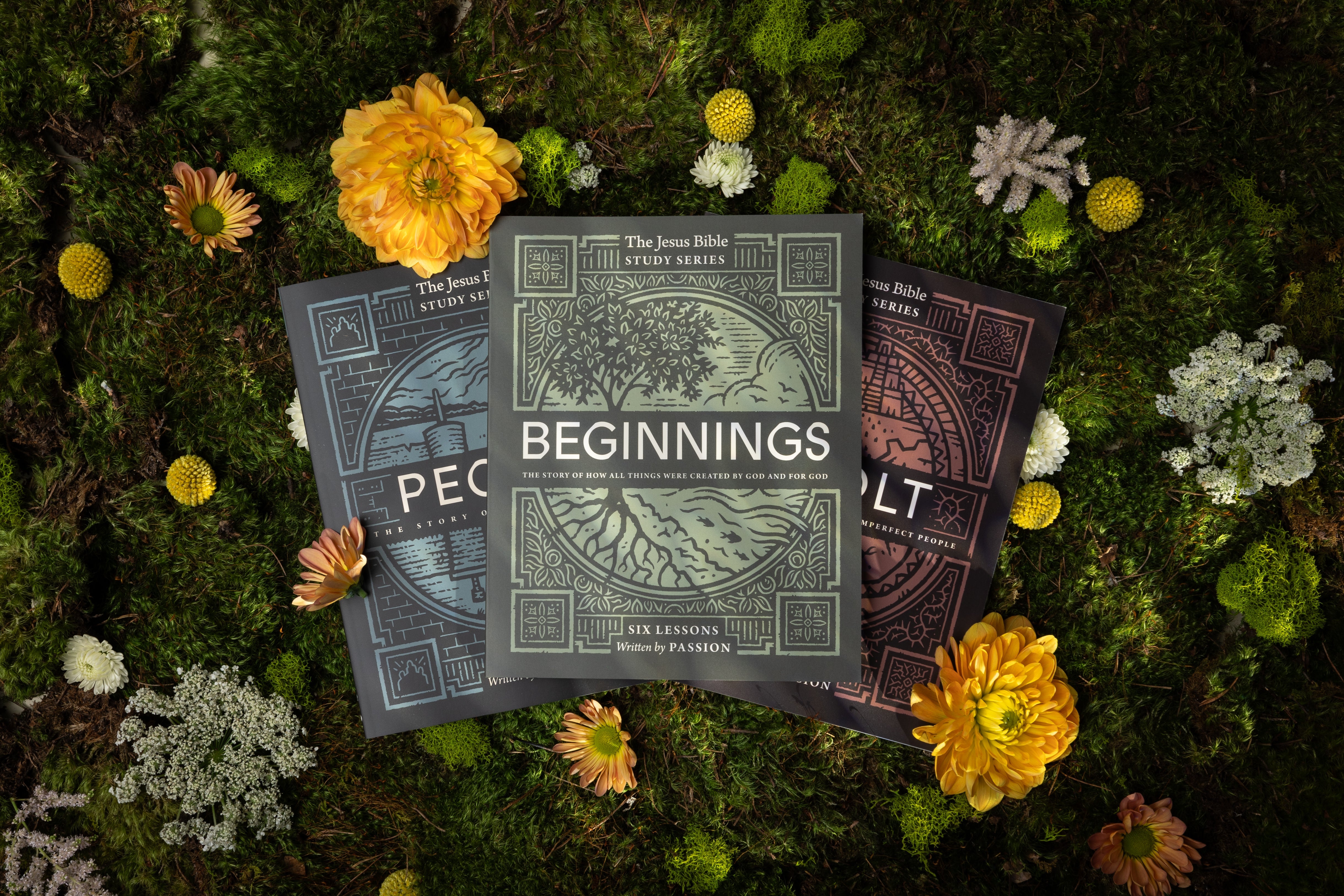 The Jesus Bible Study Series – Passion Resources